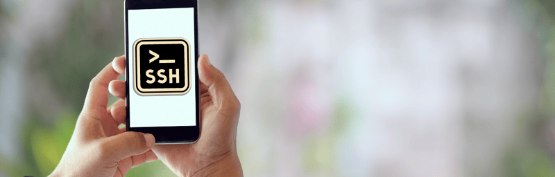 las 8 mejores aplicaciones de terminales/SSH para iPad y iPhone [2023]